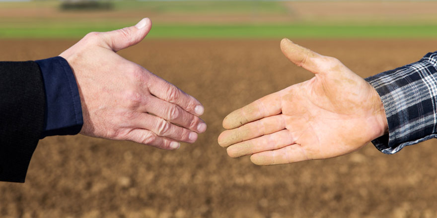 LE BAIL VERBAL - Ruranot